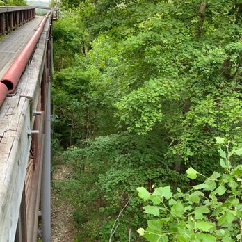 BERNHEIM FOREST AND ARBORETUM - Updated March 2025 - 1334 Photos & 138 ...