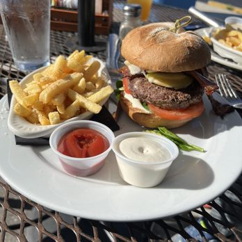 TOO COOL CAFE - 511 Photos & 563 Reviews - 2051 S Patrick Dr, Indian ...