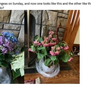 SHERIDAN NURSERIES - Updated December 2025 - 410 Taunton Road W, Whitby ...