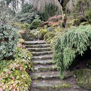 ELK ROCK GARDEN - 90 Photos & 17 Reviews - Parks - 11800 SW Military Ln ...