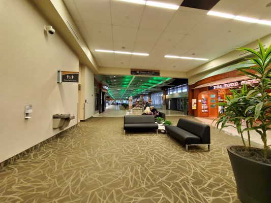 PIEDMONT TRIAD INTERNATIONAL AIRPORT - GSO - 176 Photos & 194 Reviews ...
