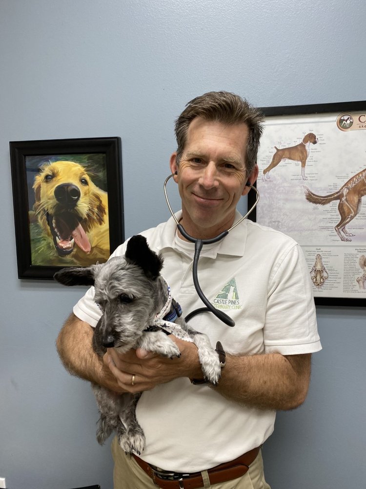 CASTLE PINES VETERINARY HOSPITAL - Updated July 2025 - 16 Photos & 32 ...