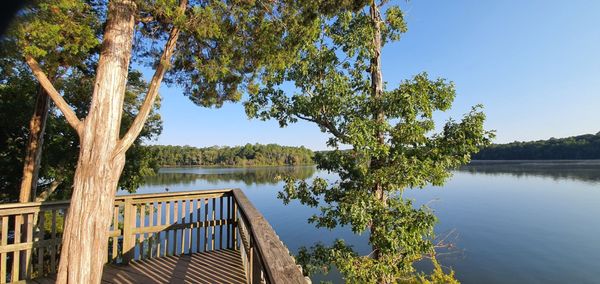 LATTA NATURE PRESERVE - Updated September 2024 - 187 Photos & 56 ...
