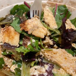 ZO GREEK - 233 Photos & 204 Reviews - Greek - 355 Revolution Dr ...