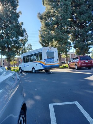 OCTA ACCESS - Updated November 2024 - 12 Photos & 21 Reviews - 319 East ...