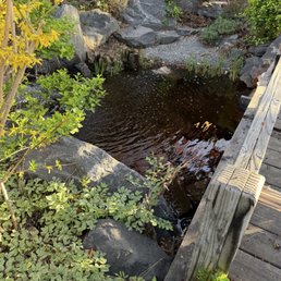 DOMO - Updated December 2025 - 1522 Photos & 1259 Reviews - 1365 Osage ...