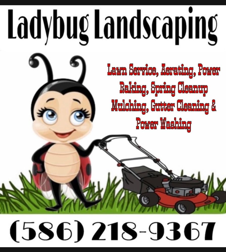 LADYBUG LANDSCAPING - Updated January 2026 - Roseville, Michigan - Lawn ...