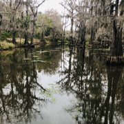 CAPTAIN RON’S SWAMP TOURS - 73 Photos & 30 Reviews - Boat Tours - 756 ...