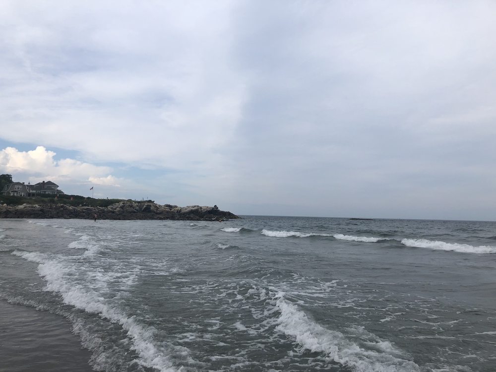 WALLIS SANDS STATE BEACH - Updated August 2024 - 36 Photos & 20 Reviews ...