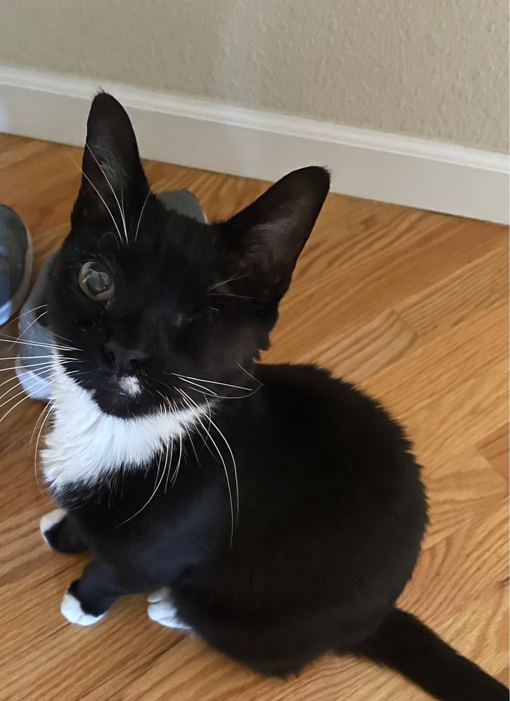 QUEBEC HIGHLANDS ANIMAL CLINIC - Updated December 2025 - 29 Reviews ...