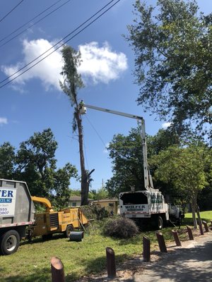 WOLFER LANDSCAPE SERVICES - Updated March 2025 - 36 Photos & 10 Reviews ...