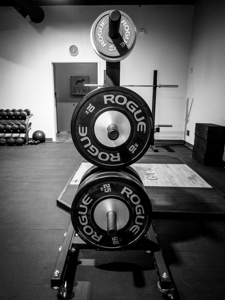 RED FOX GYM - Updated May 2024 - Request Information - 12 Photos - 364 ...