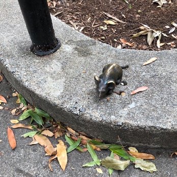 MICE ON MAIN - Updated December 2025 - 32 Photos - 117 N Main St ...