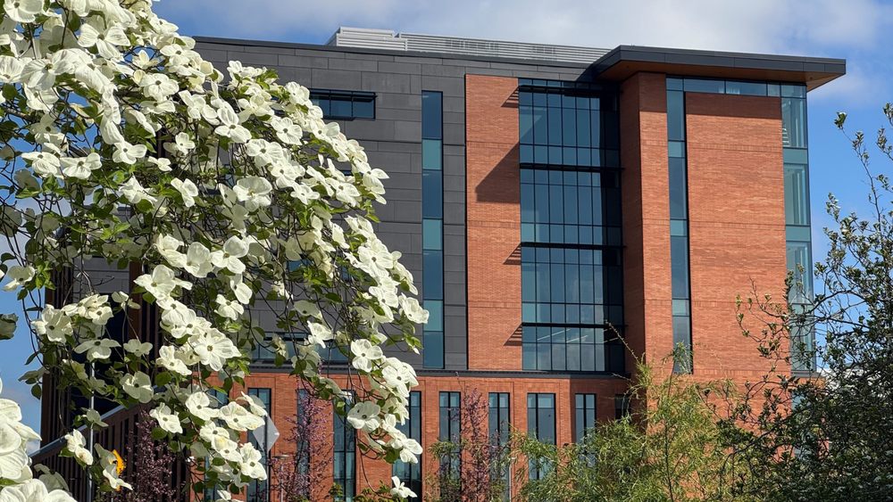 CLACKAMAS COUNTY COURT - Updated October 2025 - 11 Photos - 1000 ...