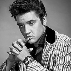 BIONIC RECORDS - 17 Photos & 64 Reviews - Music & DVDs - 6012 Ball Rd ...