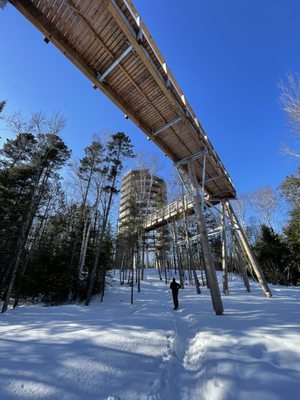 SENTIER DES CIMES / TREETOP WALK - 20 Photos - 737 Rue de la ...