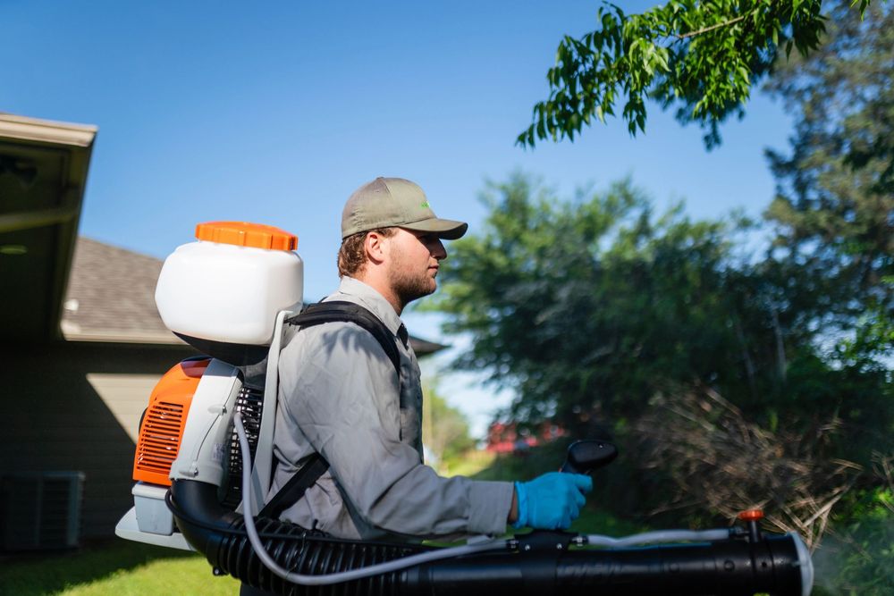 INNOVATIVE PEST CONTROL - Updated July 2025 - 31 Photos & 11 Reviews ...