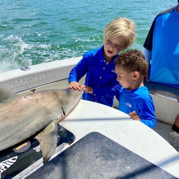 MARK THE SHARK - Updated January 2026 - 83 Photos & 73 Reviews - 1635 N ...