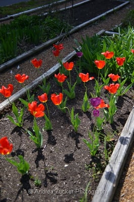 TREZEVANT MANOR - Updated September 2025 - 18 Photos - 177 N Highland ...