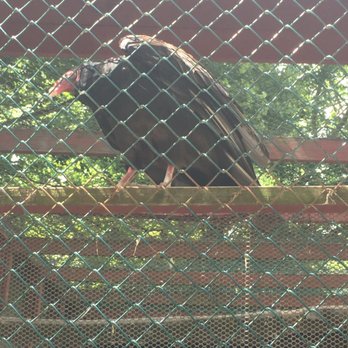 RAPTOR TRUST - Updated August 2024 - 48 Photos & 31 Reviews - 1390 ...