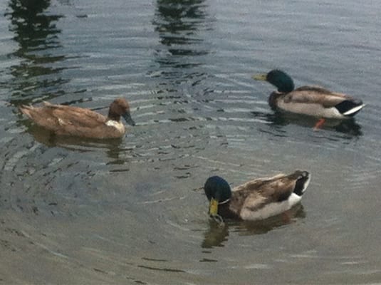 SUNDALE COUNTRY CLUB - Updated September 2025 - 18 Photos & 21 Reviews ...