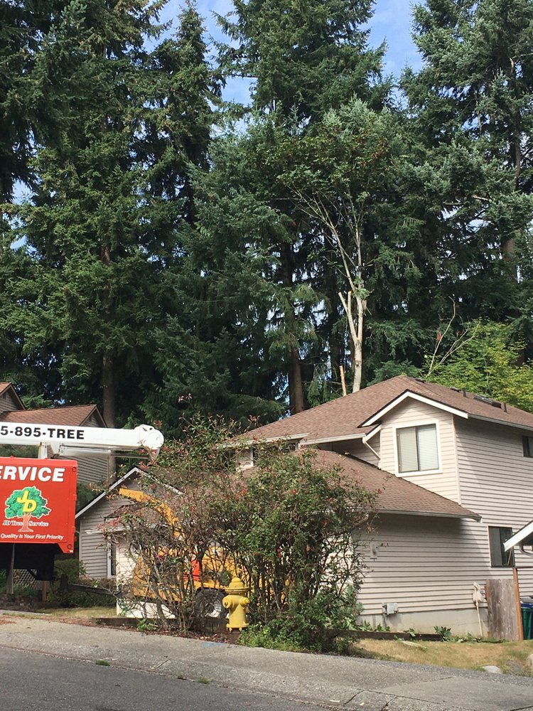 JD TREE SERVICE - Updated December 2024 - 26 Photos & 45 Reviews ...