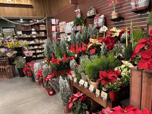 THE FRESH MARKET - Updated May 2024 - 148 Photos & 55 Reviews - Yelp