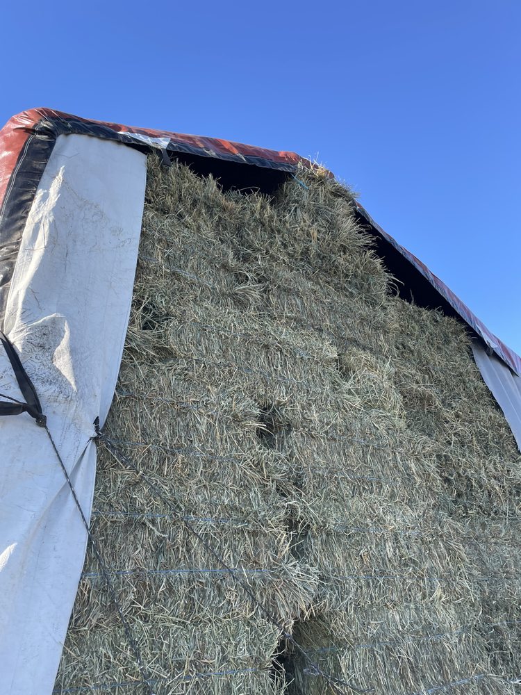 OHANA FARMS - Updated March 2026 - 3660 Auburn Rd, Pasco, Washington ...
