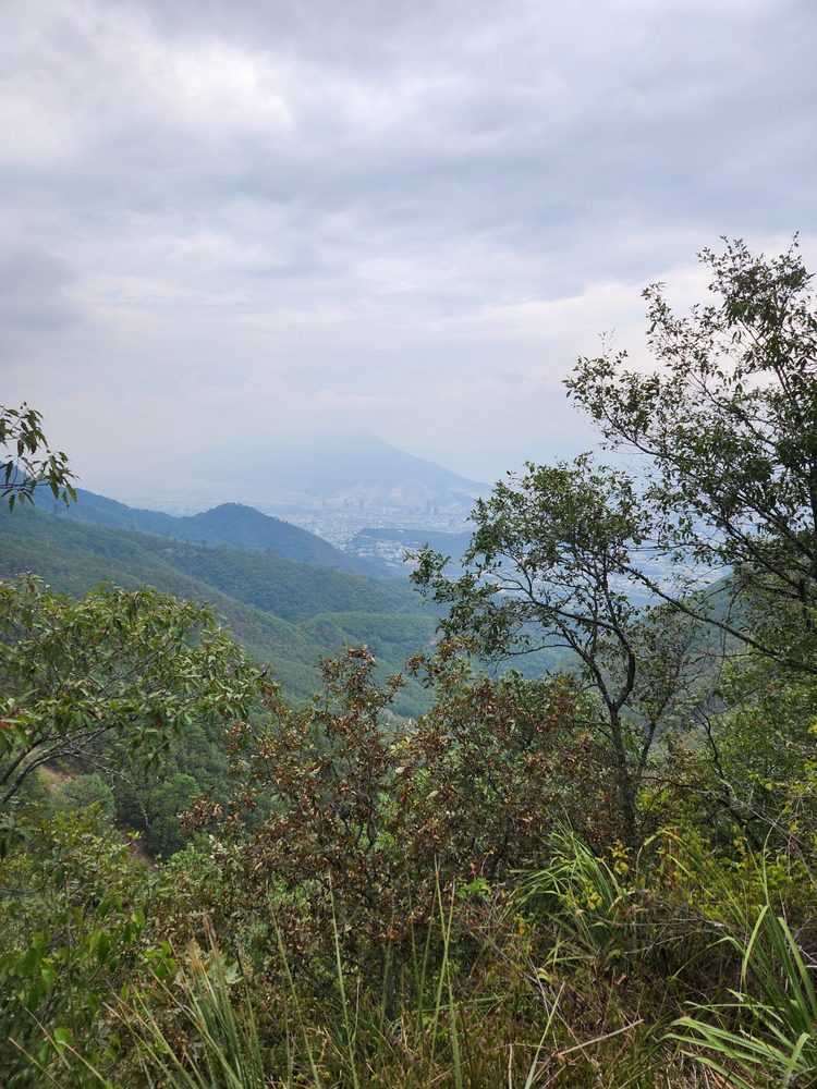 PARQUE ECOLÓGICO CHIPINQUE - Updated January 2025 - 48 Photos & 32 ...