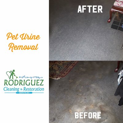 RODRIGUEZ CLEANING SERVICE - Updated December 2025 - 52 Photos & 33 ...