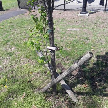 CANTIAGUE PARK - Updated October 2025 - 51 Photos & 31 Reviews - 480 W ...