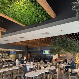 MEDDYS - Updated December 2025 - 268 Photos & 104 Reviews - 17255 ...