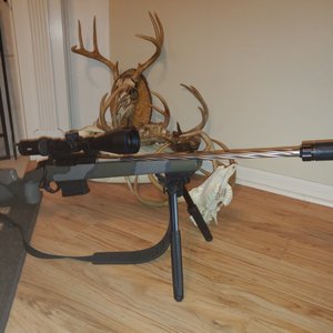 HARRY BECKWITH GUNS & RANGE - Updated June 2025 - 55 Photos & 21 ...