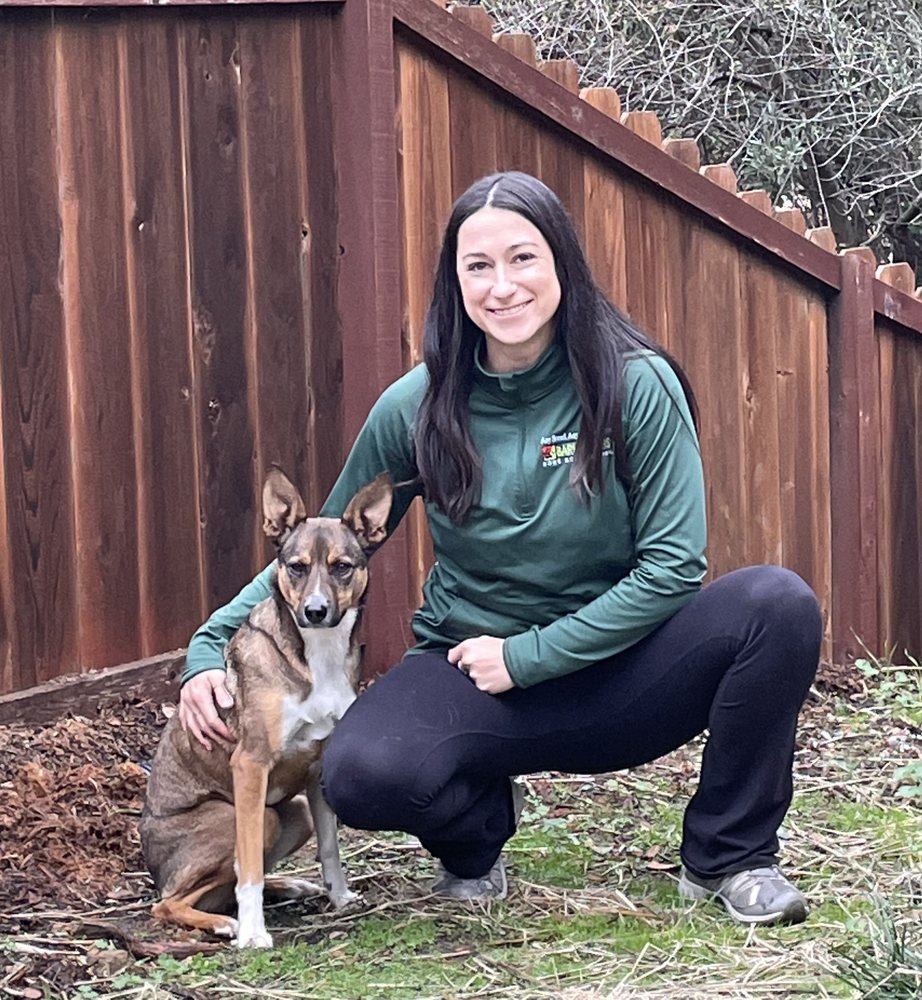 BARK BUSTERS HOME DOG TRAINING - OAKLAND - Updated August 2025 - 44 ...
