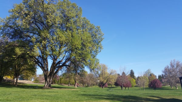 FRANKLIN PARK - Updated January 2026 - Yakima, Washington - Parks - Yelp