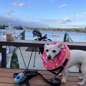 THE ISLANDS GOLF CENTER - Updated August 2024 - 439 Photos & 379 ...