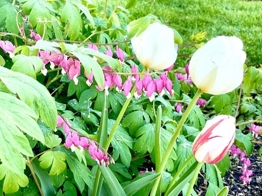 SAPPINGTON HOUSE COMPLEX - Updated June 2024 - 23 Photos - 1015 S ...