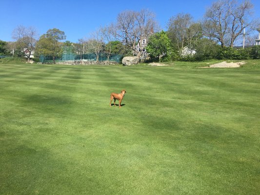 BASS ROCKS GOLF CLUB - Updated July 2025 - 27 Beach Rd, Gloucester ...