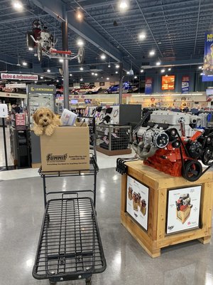 SUMMIT RACING EQUIPMENT - Updated November 2025 - 63 Photos & 234 ...