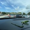 COSTCO - Updated June 2026 - 199 Photos & 151 Reviews - 10921 Causeway ...