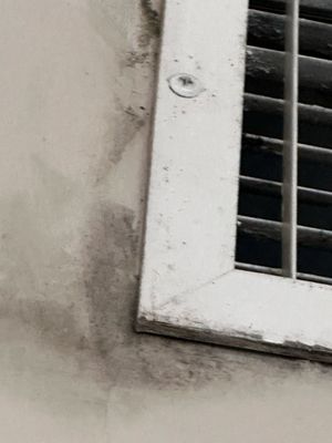 AAA INSURANCE - Updated December 2025 - 42 Photos & 186 Reviews - 25181 ...