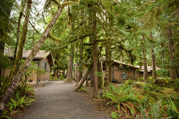 NATUREBRIDGE AT OLYMPIC - Updated December 2025 - 41 Photos - 111 ...