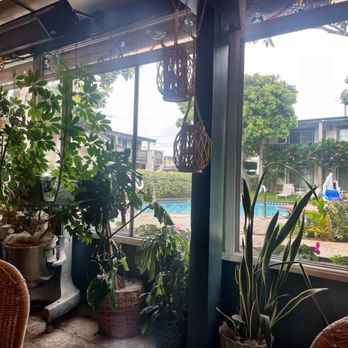 LIVE OAK CAFE - Updated August 2024 - 403 Photos & 351 Reviews - 2220 ...