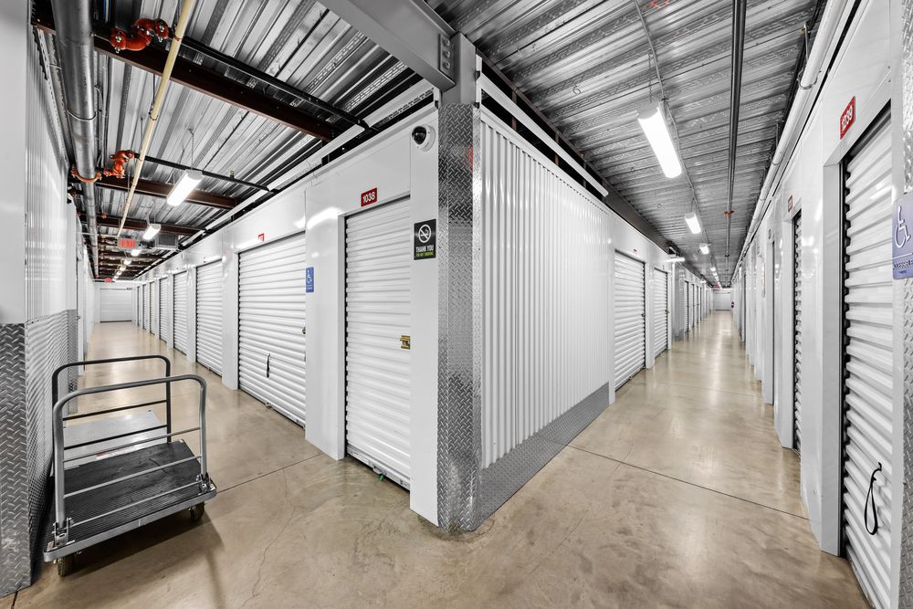 STORAGE SENSE - LEXINGTON - RUCCIO - Updated October 2025 - 32 Photos ...