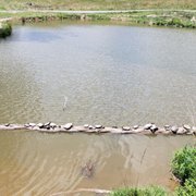 FORT CHISWELL ANIMAL PARK - 74 Photos & 17 Reviews - Zoos - 569 Red ...