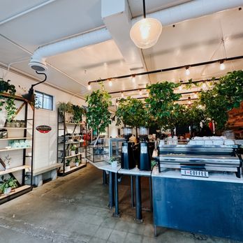 AVIANO COFFEE - Updated April 2025 - 480 Photos & 619 Reviews - 244 ...