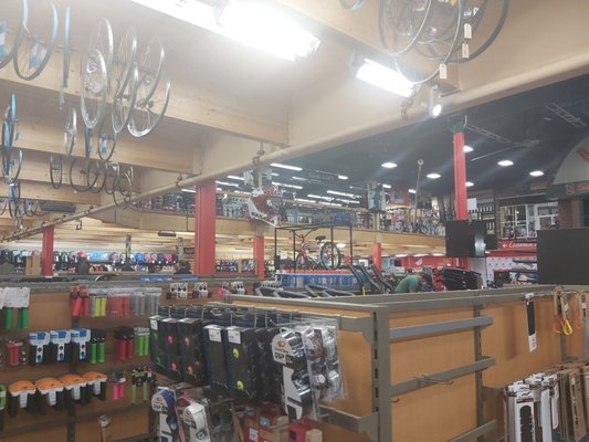 UNITED SPORT & CYCLE - Updated June 2024 - 66 Photos & 57 Reviews ...