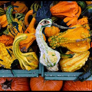 KINDERHOOK FARM - Updated August 2024 - 49 Photos - 1958 County Rd 21 ...