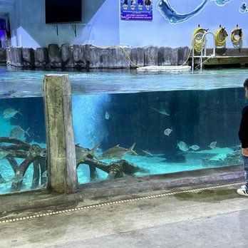 HOUSTON INTERACTIVE AQUARIUM AND ANIMAL ADVENTURE - Updated January ...