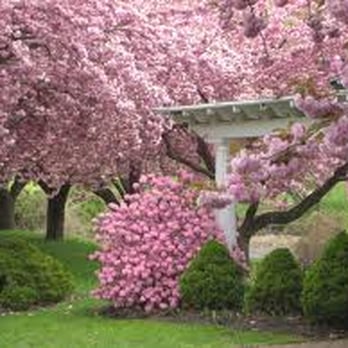 HURD PARK - Updated December 2025 - 53 Photos - W Blackwell St & Park ...